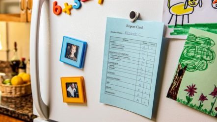 Guide to Understanding School Report Cards In Australia